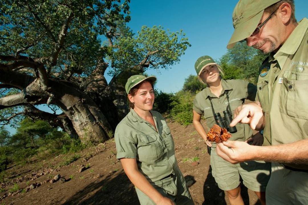 Pridelands Conservancy Bush Camp | Connections.be