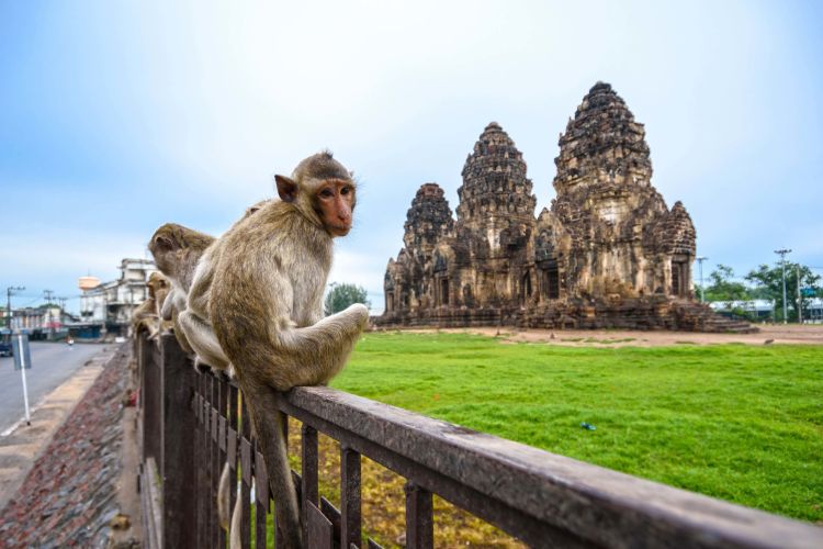 Must-See Places in Thailand: Our Map | Connections.be