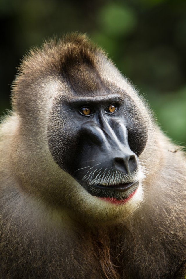 Goedkope vliegtickets naar Nigeria | Connections.be