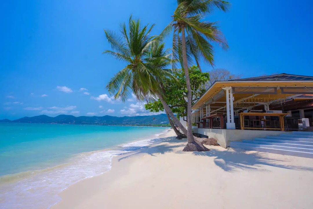 Thaïlande - Chaweng Regent Beach Resort - Koh Samui | Connections.be